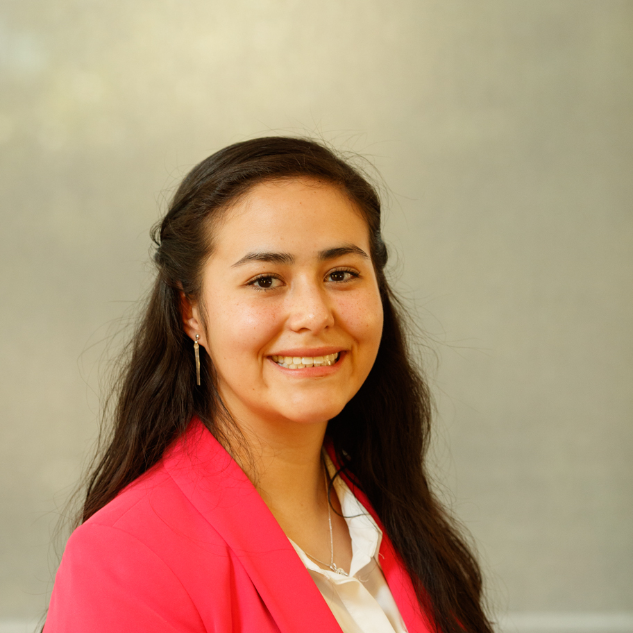 About Us – NUI Lab